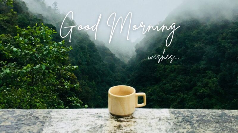 Good Morning Wishes, Greeting Ideas and Messages - Blissful Reads