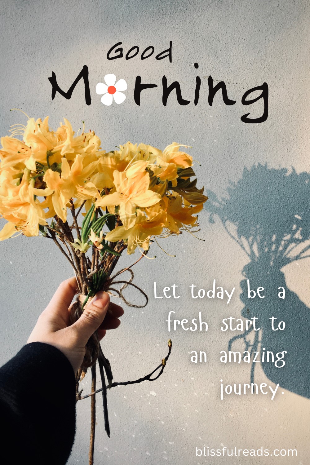 Good Morning Wishes, Greeting Ideas and Messages - Blissful Reads