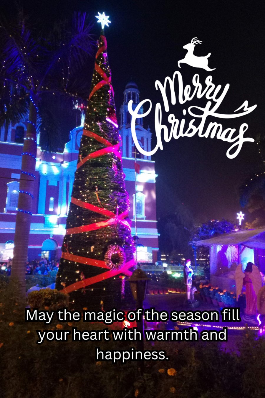 50+ Merry Christmas Wishes for a Magical Holiday Season - Blissful Reads